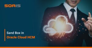 Oracle Cloud HCM Sandbox: Testing Environment Overview - Ardent
