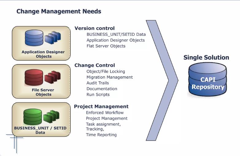 Overview of CAPI: Enhancing Data Collection Processes - Soais